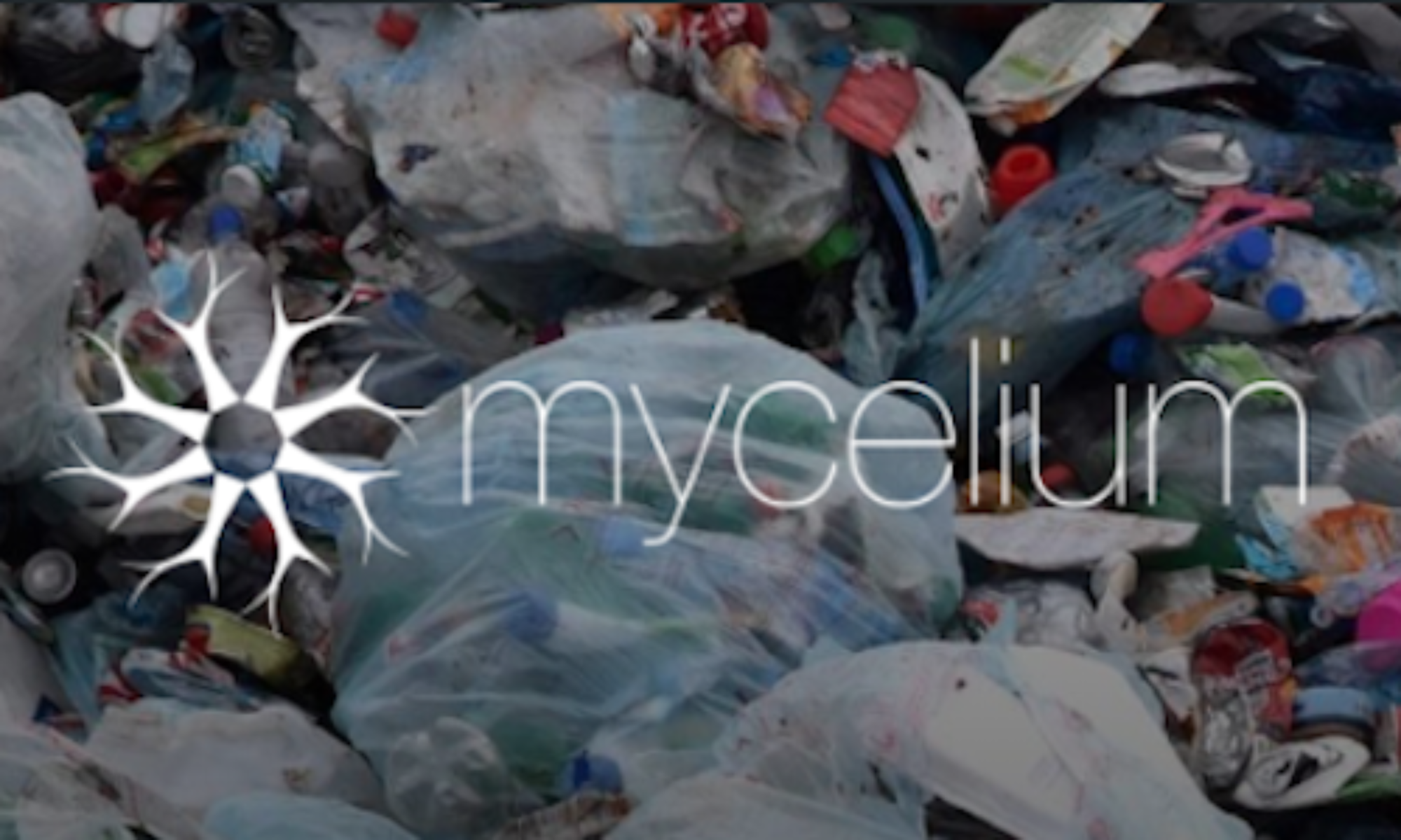 Mycelium – Turning plastic waste into useful products
